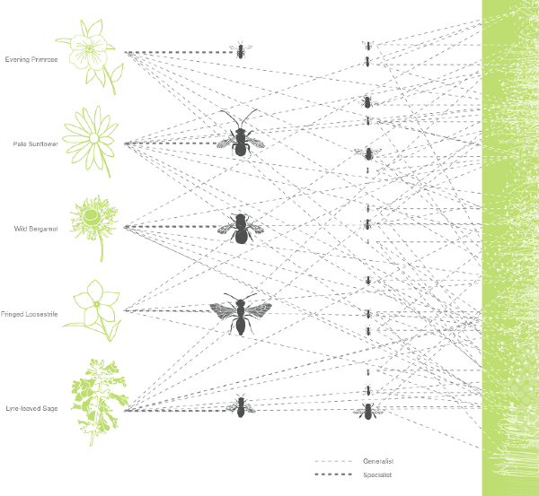 Pollination City - Karen May Design